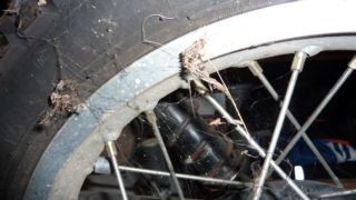 Willkommen bei xt500!